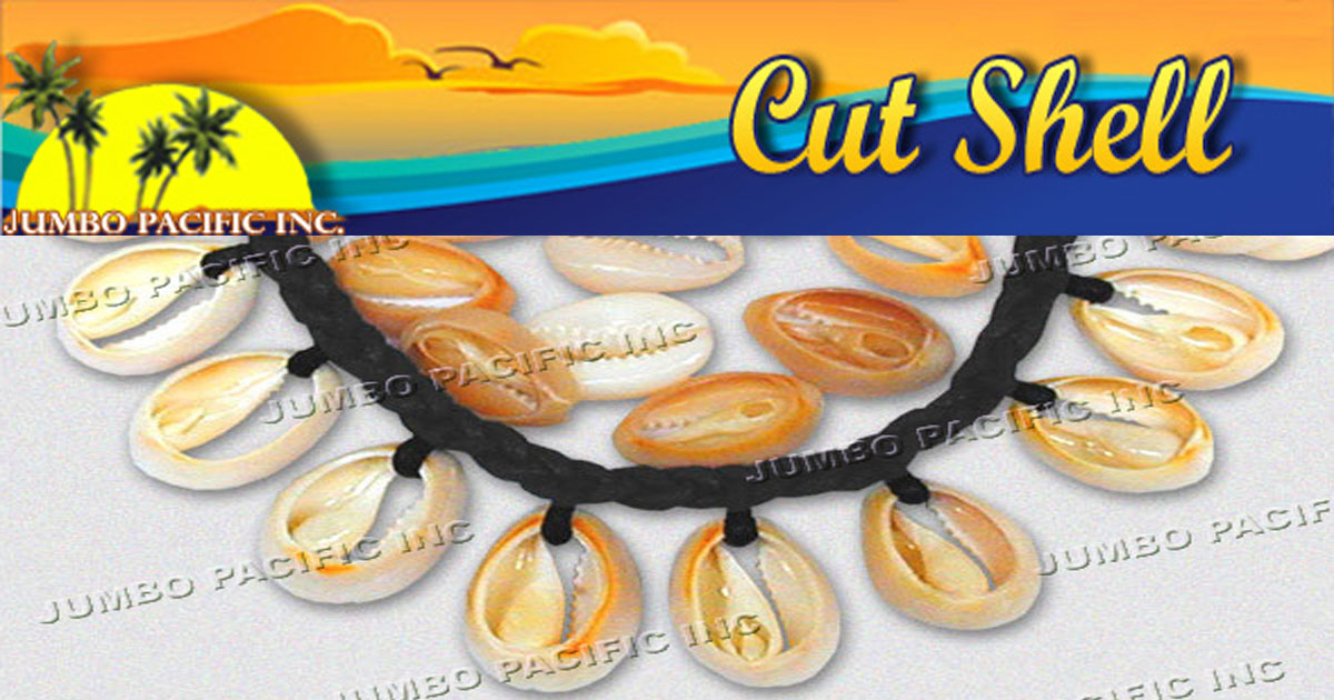 Nasa Shell in Cut Seashell Supplier